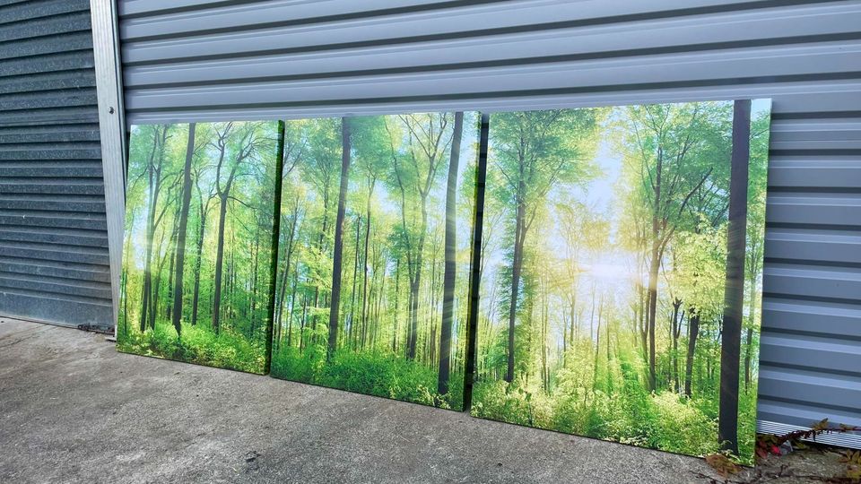 Framed 3 Panels - Finished Products - Forest panorama with rays of sun ...